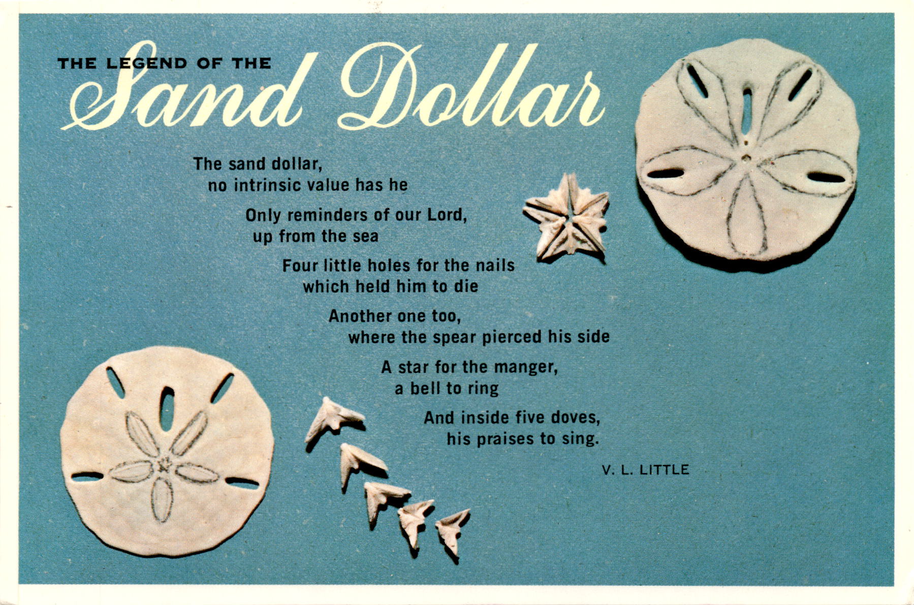 Legend of the sand dollar Jesus Christ Crucifixion Faith Postcard ...