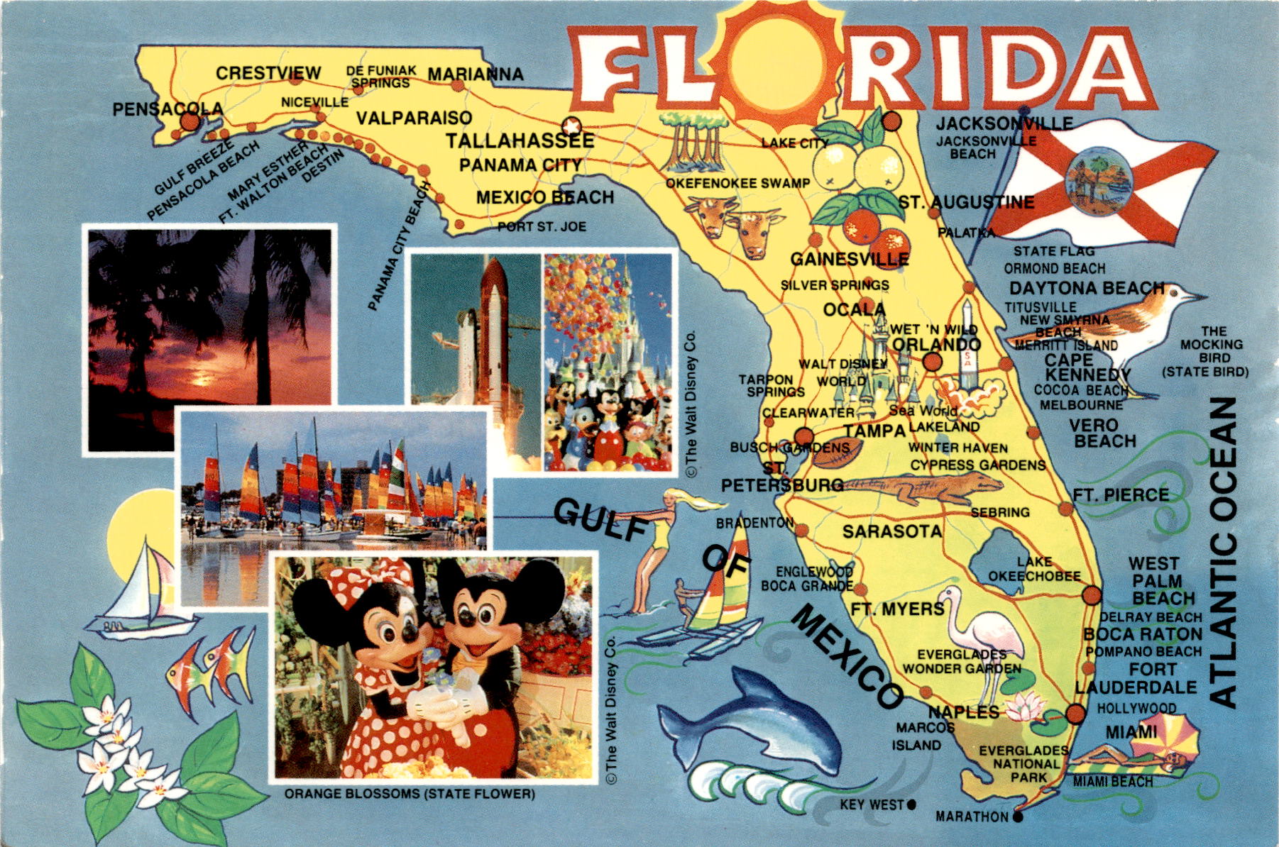 Florida Map Cities Landmarks Orange blossom Mockingbird B Postcard ...